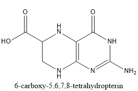 电影《超体》中的 CPH4 真的那么有用吗？现实中 CPH4 究竟是什么？ - 知乎
