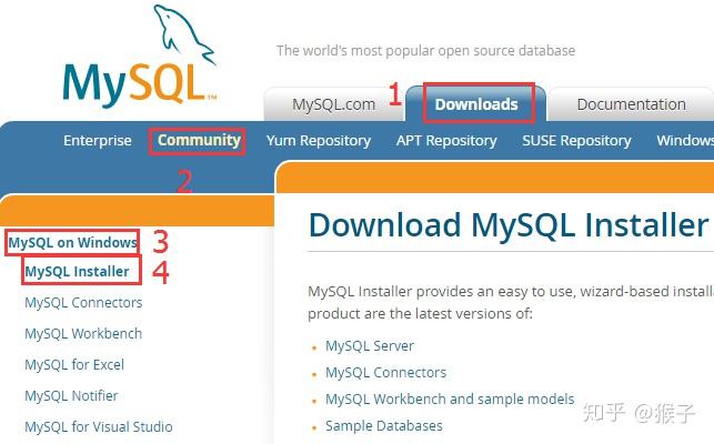 MySQL数据库下载及安装教程（最新版！史上最详细！） - 工程师搁浅 - 博客园