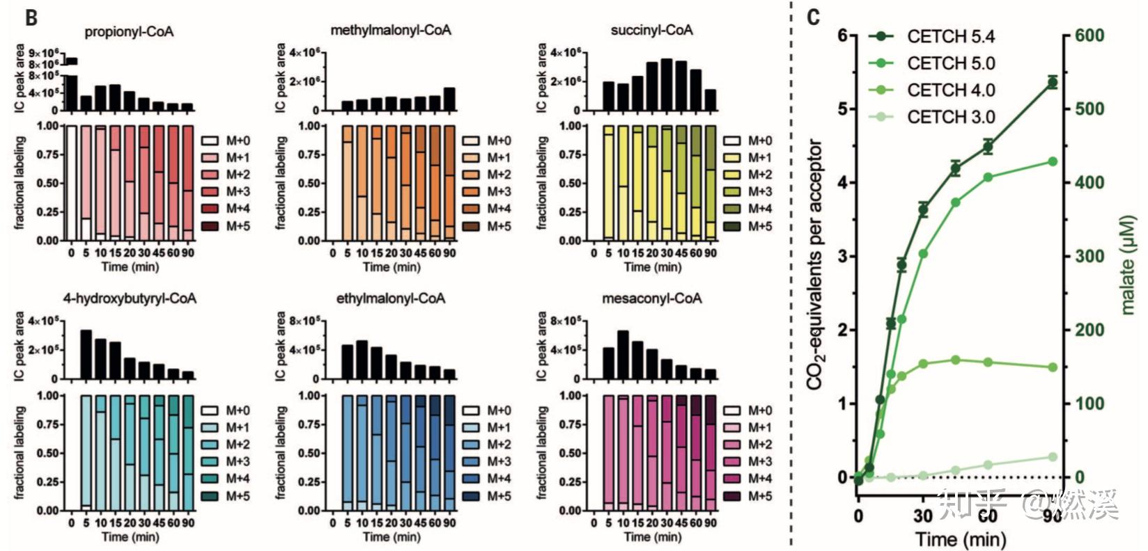 Tobias Erb与合成光合作用系统 - 知乎