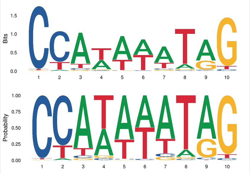 利用ggseqlogo绘制seqlogo图 - 知乎