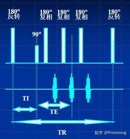 第三节 反转恢复类序列 - 知乎