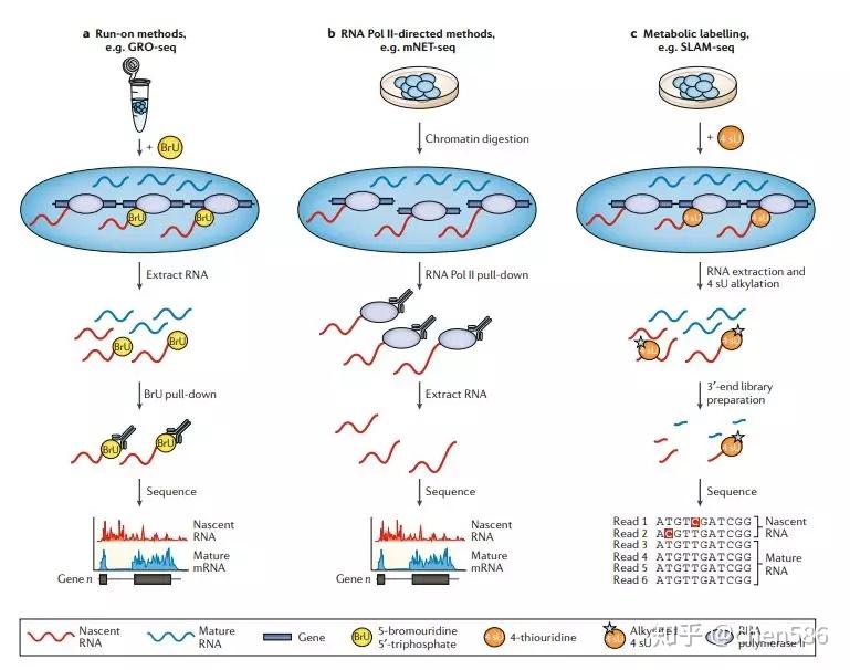 Nature重磅综述 |关于RNA-seq，你想知道的都在这 - 知乎