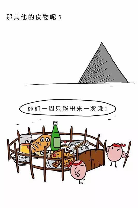少吃多运动真的可以瘦吗? 知乎