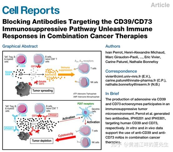 阻断CD39-CD73通路能够减轻肿瘤微环境的免疫抑制作用 - 知乎