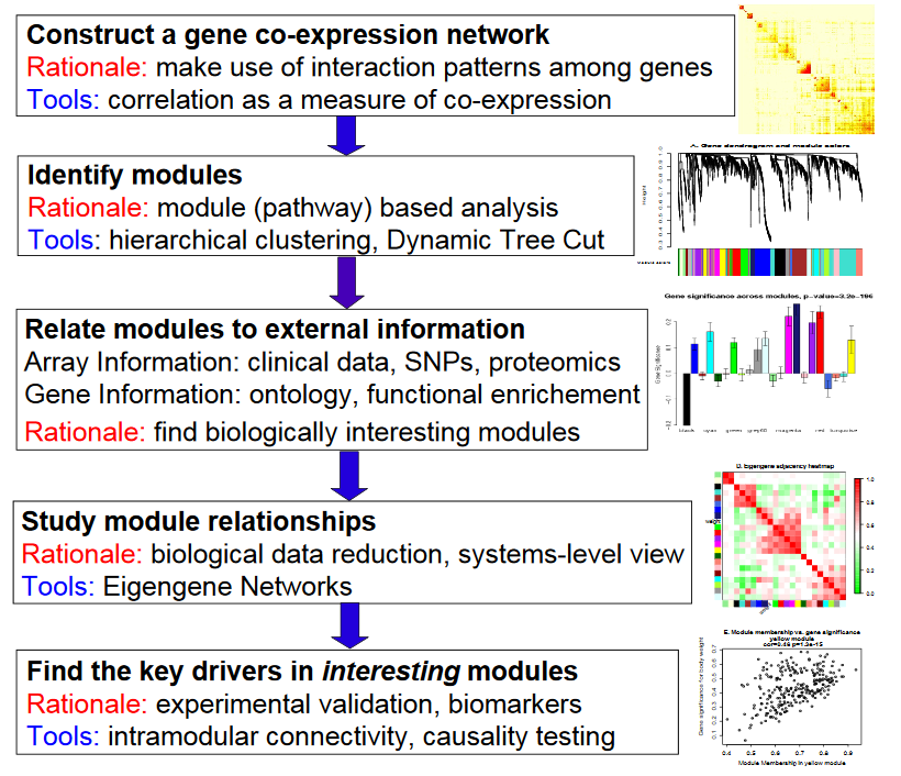 WGCNA分析，简单全面的最新教程 - 知乎