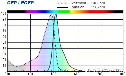 Mark || 实验室常用荧光物质激发波长和发射波长 - 知乎