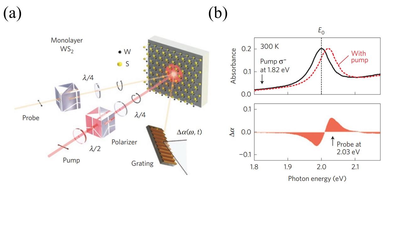 pump-probe技术在2D TMDs中的应用 - 知乎