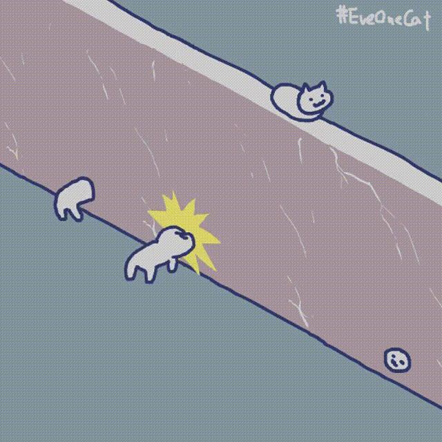 魔性猫猫everyday one cat 表情包 - 知乎