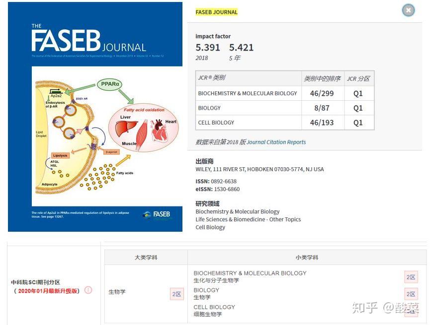 解刊 | 《FASEB Journal 》 - 知乎