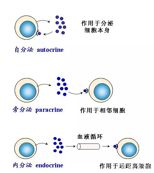 细胞因子Cytokine的机制与胞内流式检测 - 知乎