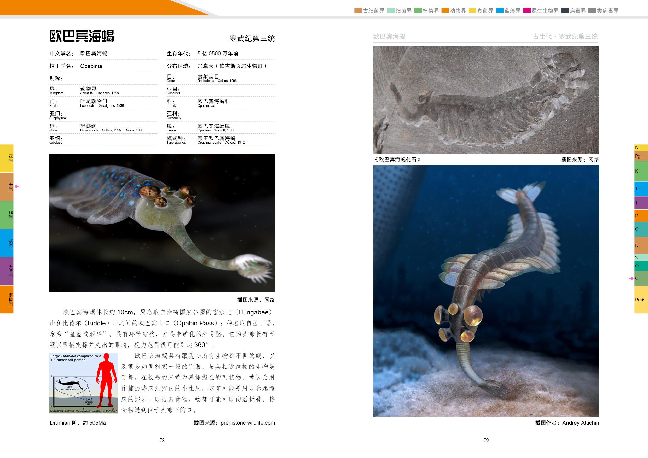 《生物简史图鉴》寒武纪之加拿大1（伯吉斯页岩动物群） - 知乎