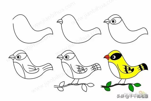 100多种超萌漫简笔小动物头像画法，值得收藏临摹！ - 知乎