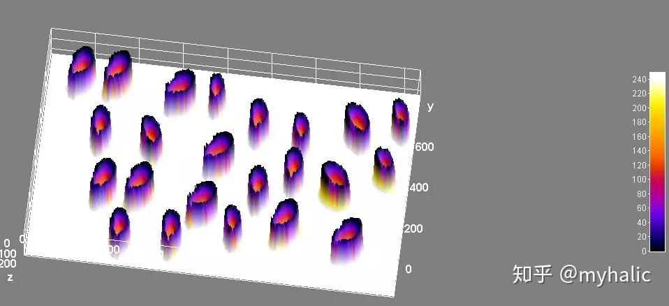 干货 | 一把西瓜子也能教会你 ImageJ 图片分析 - 知乎
