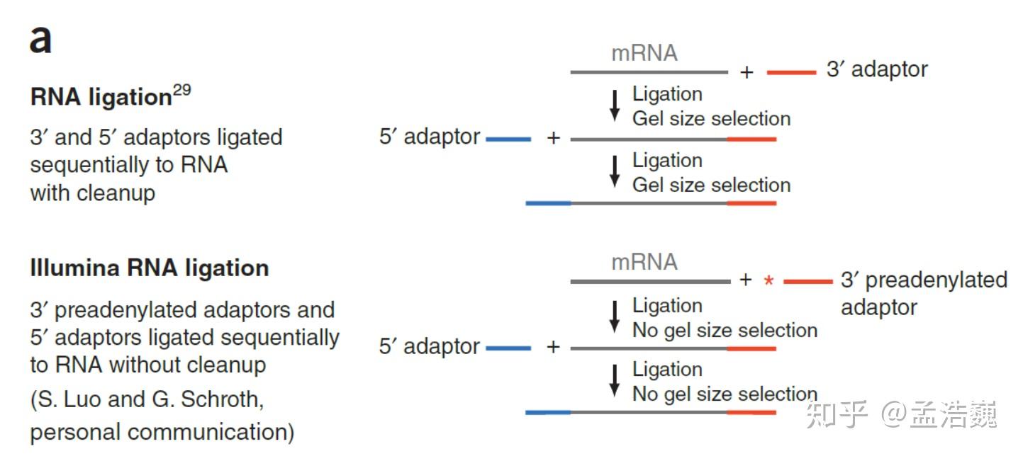 生信-第33题 什么是链特异性的RNA-Seq？ - 知乎