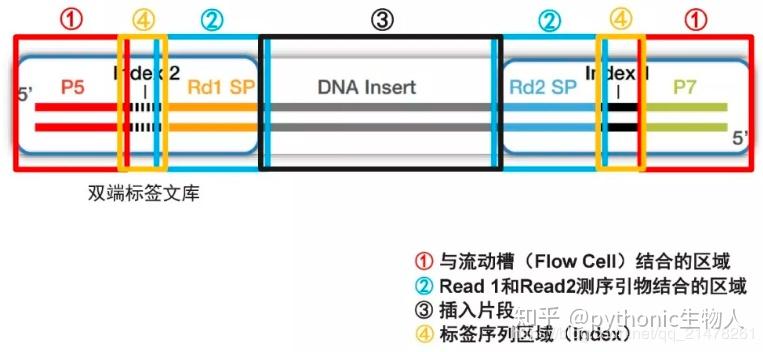 NGS测序基础01-文库构建（Library Preparation） - 知乎