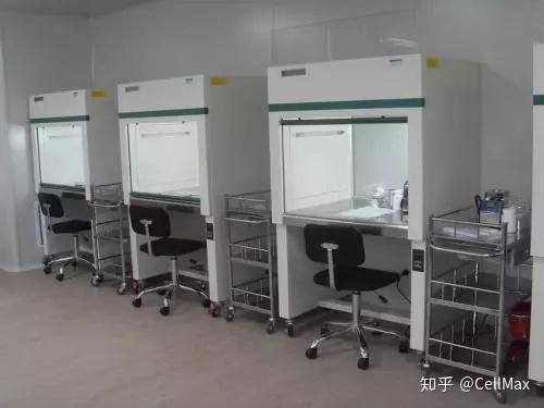 如何做好细胞培养？这些“秘籍”不容错过！ - 知乎