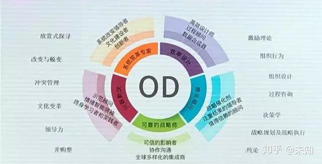 人力资源的3D中的OD - 知乎