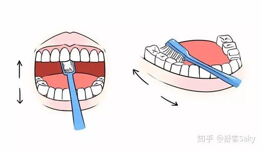 如何正确地刷牙 知乎