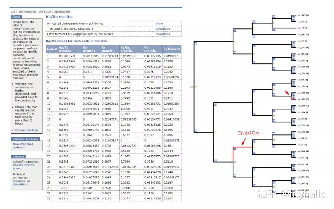 干货 | 当 BioEdit 遇上 Excel ，批量处理序列不用愁！ - 知乎