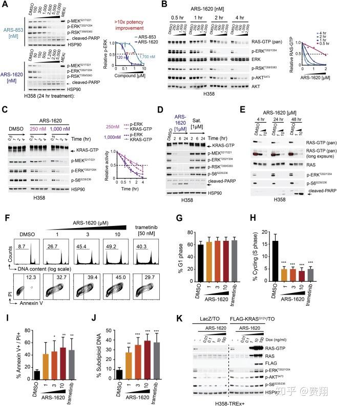 用共价特异性抑制剂ARS-1620靶向KRAS突变癌症 - 知乎