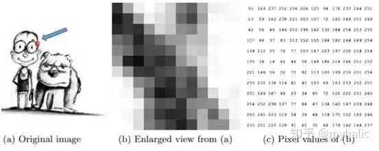 Image J实用技巧：荧光图片使用技巧 - 知乎