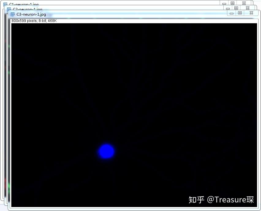 ImageJ实用技巧——荧光&明场图片合并和分割(基本功能篇) - 知乎